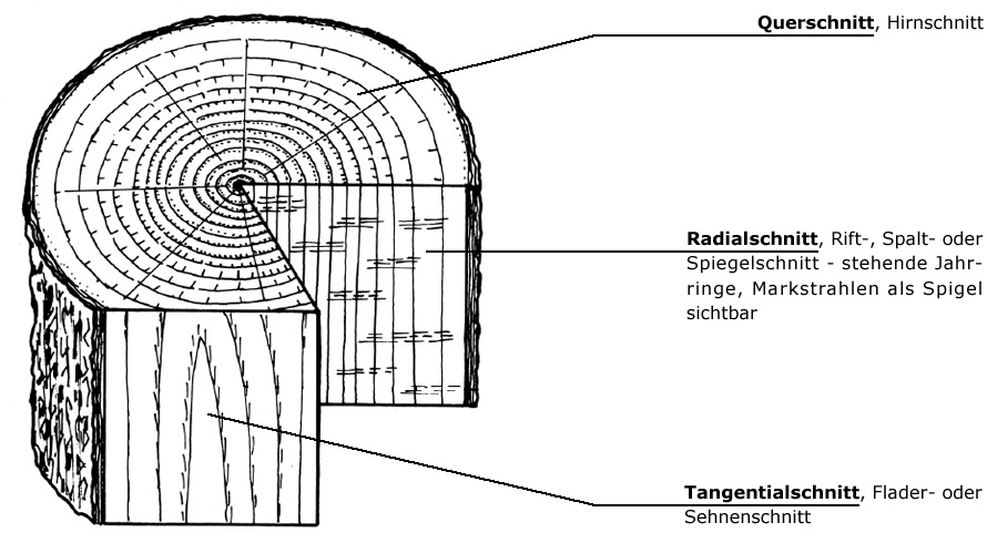 Unbenanntes Dokument